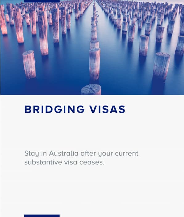 Visitor visa assessment
