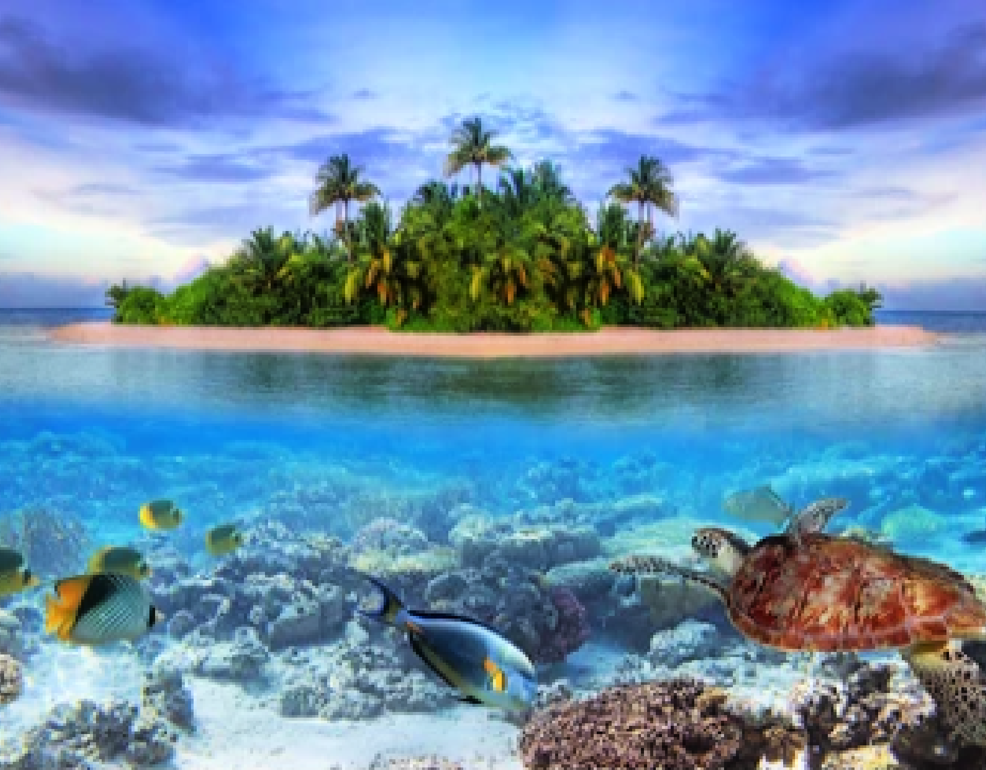 Pacific Engagement Visa Visa Envoy
